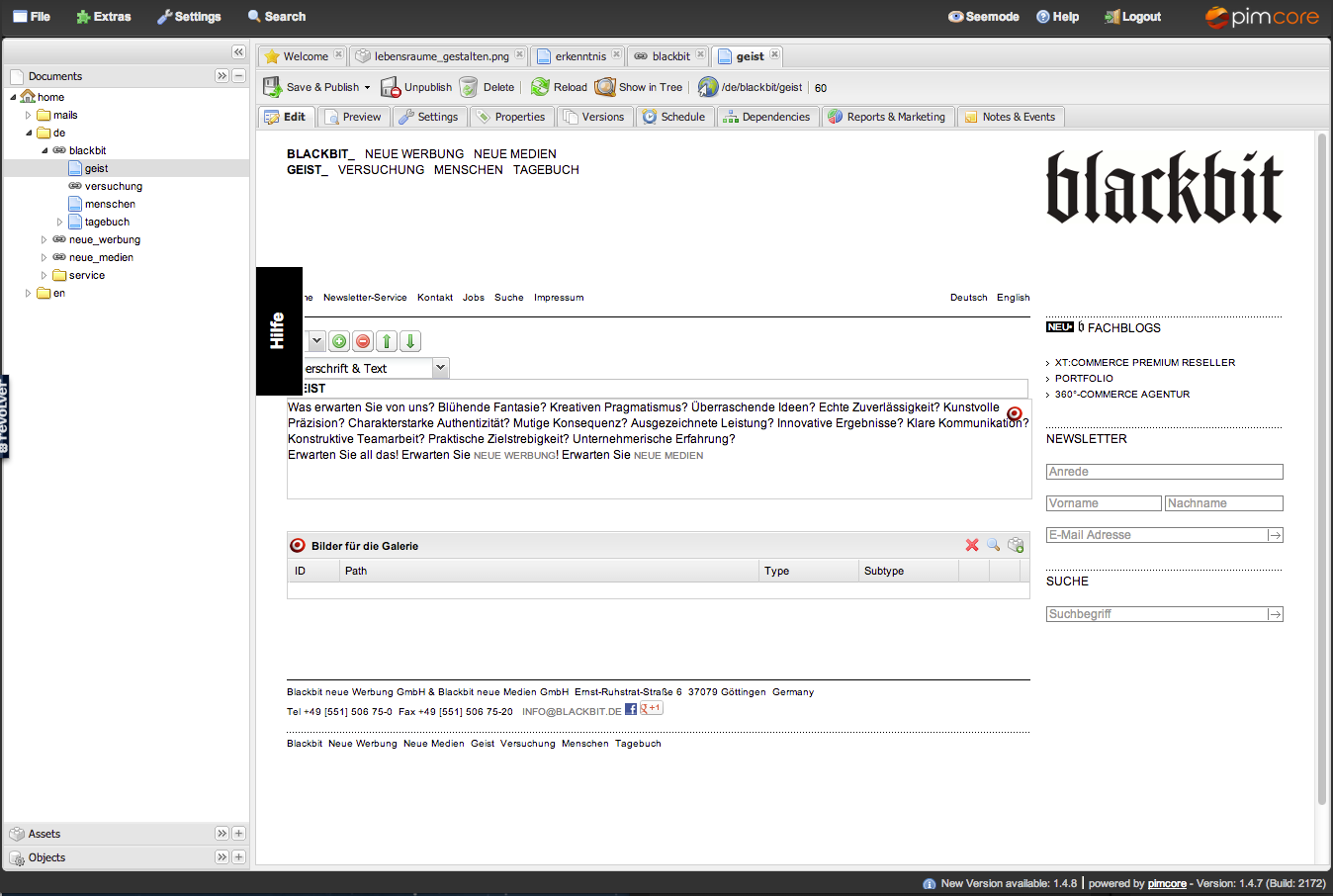 Creating and editing pages in the Pimcore CMS
